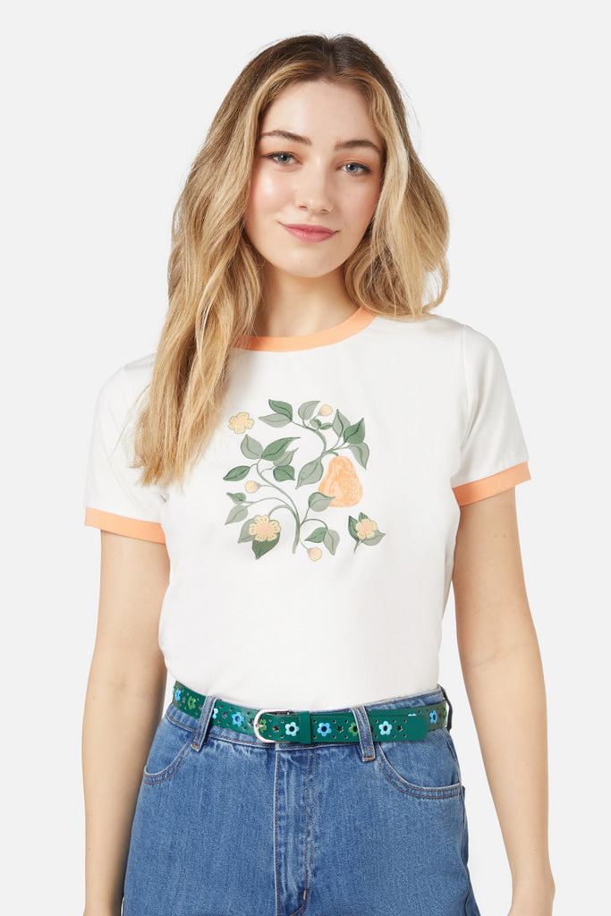 Coloured Daisy Belt – Princess Highway